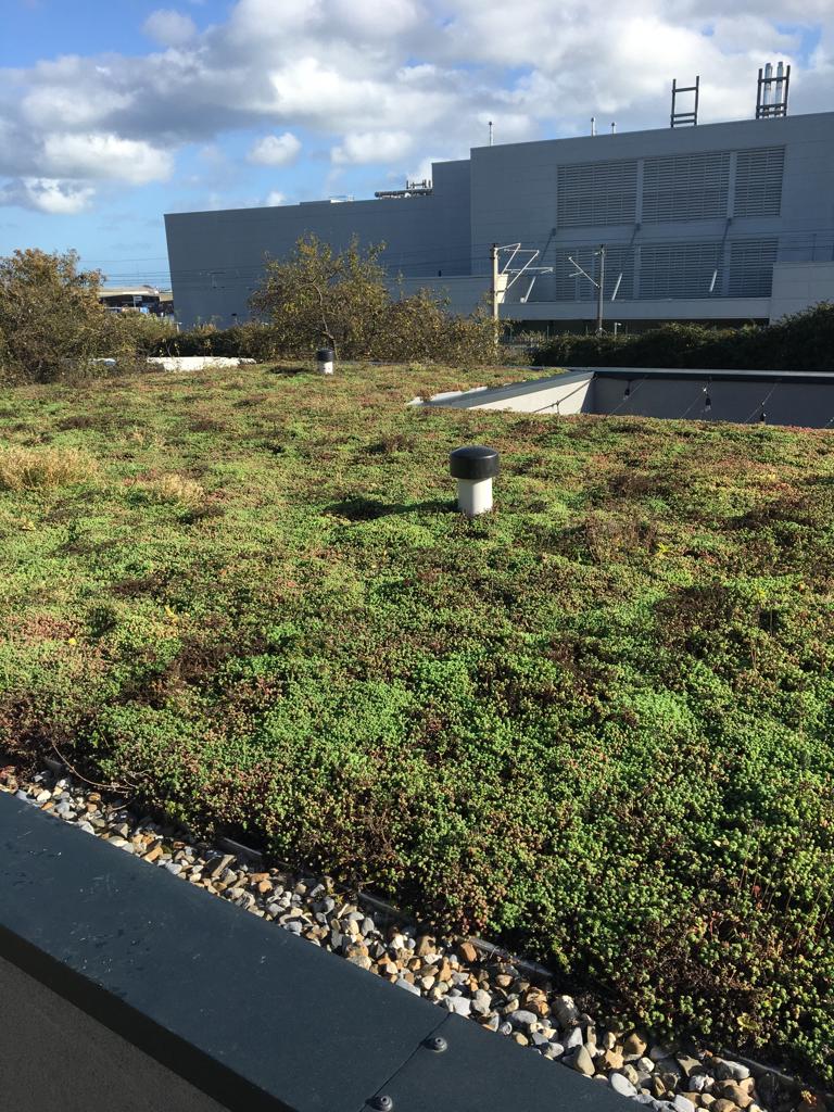 Green Roof systems - High Spec Contracts Ltd